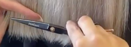 Are Disconnected Layers Still Layers? - Scissor Tech Australia